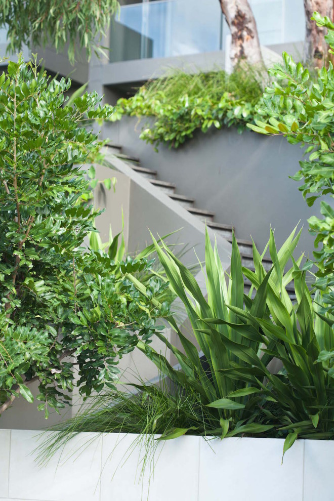 Stark Design - Landscape Design - stark design